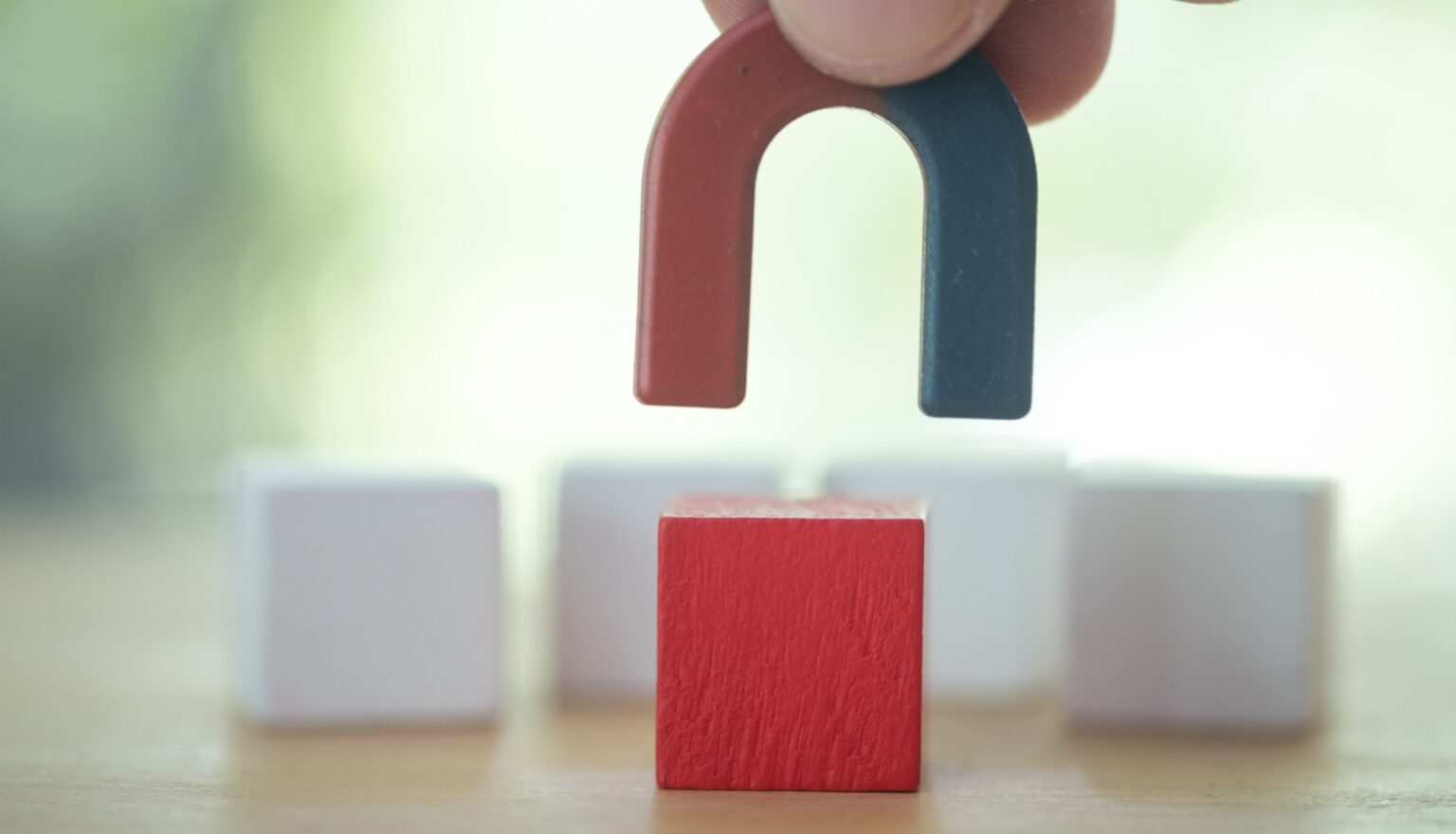 What’s It Like To Be a Magnet? – Ken Honda
