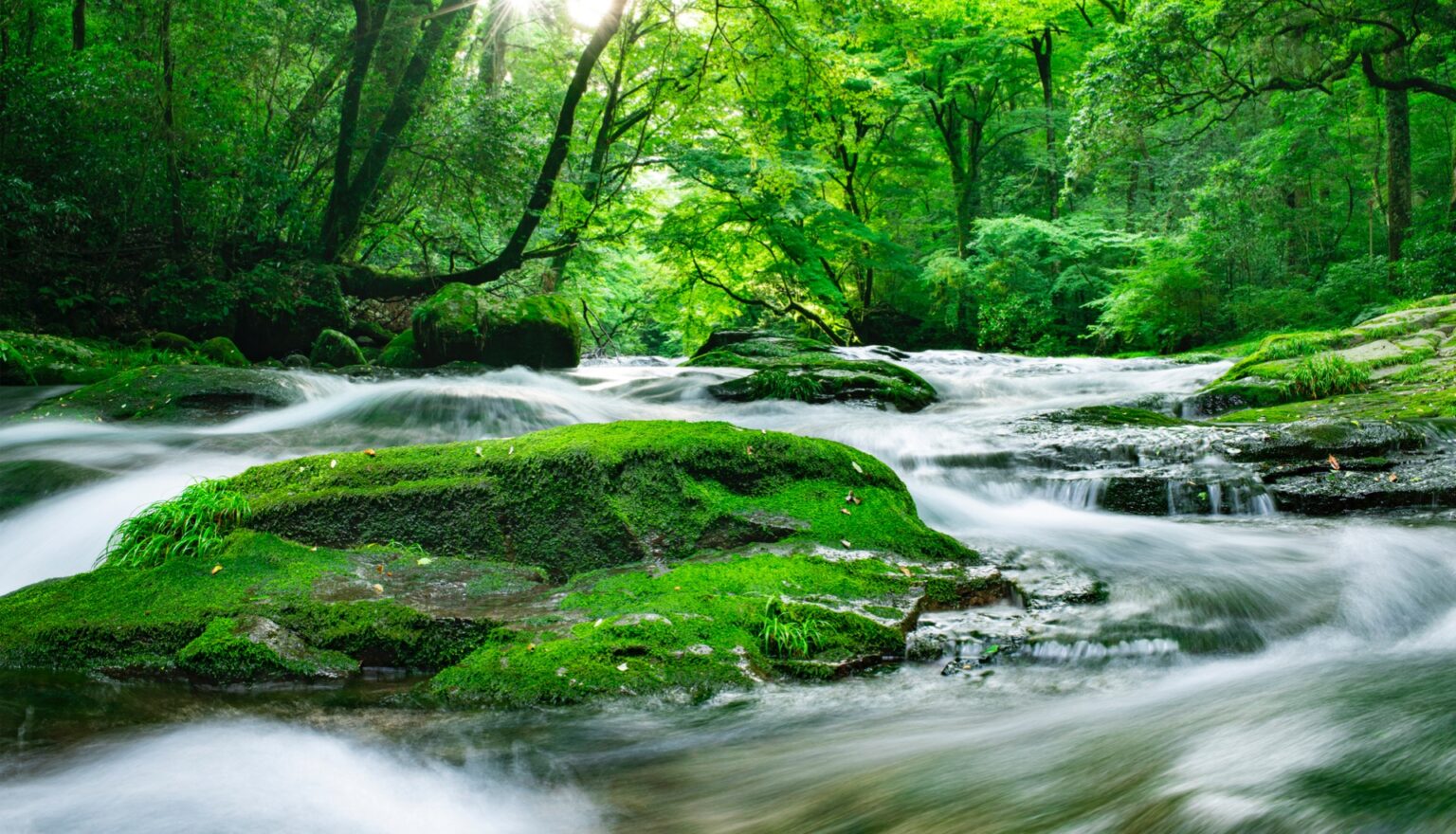 The Happy Money River – Ken Honda